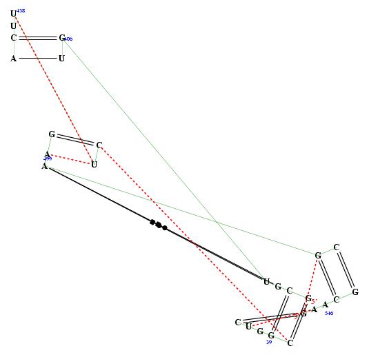 RNAJunction