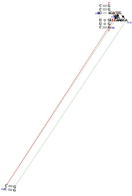 RNAJunction