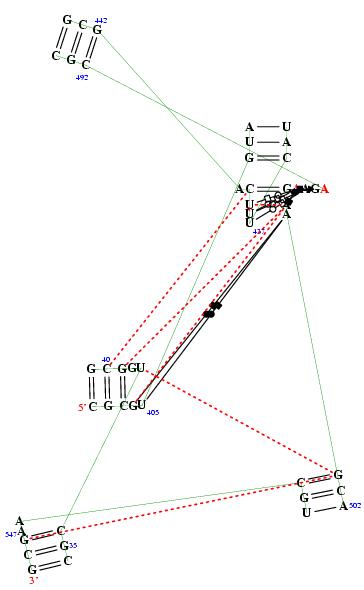 RNAJunction