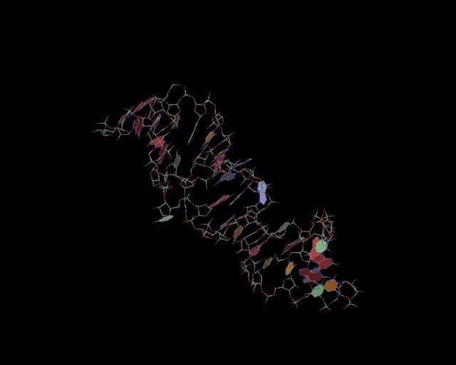 RNAJunction