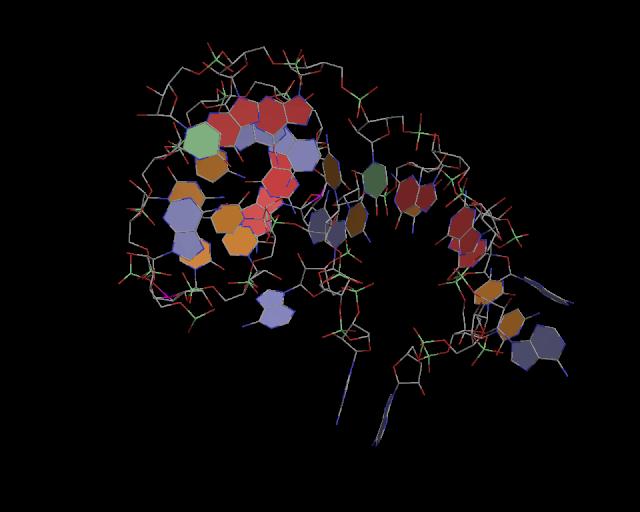 RNAJunction