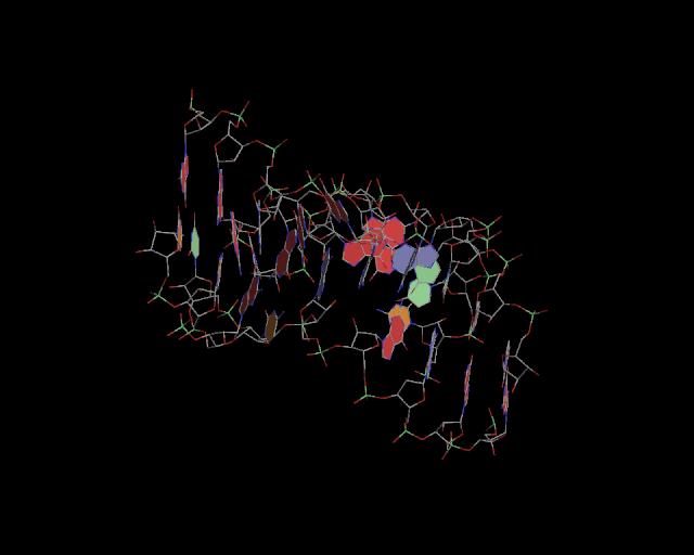 RNAJunction
