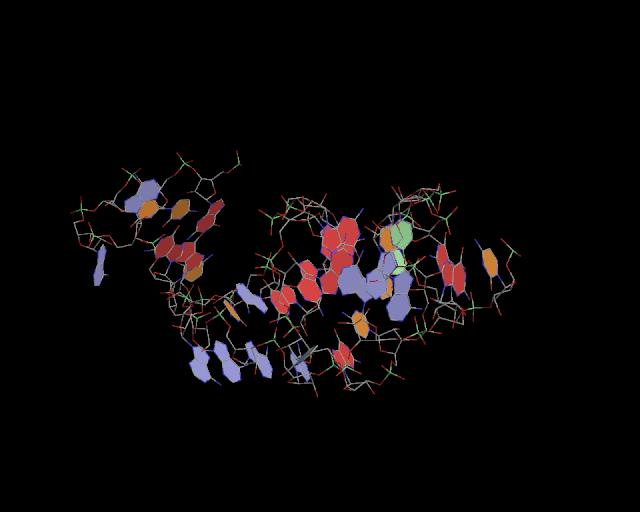 RNAJunction